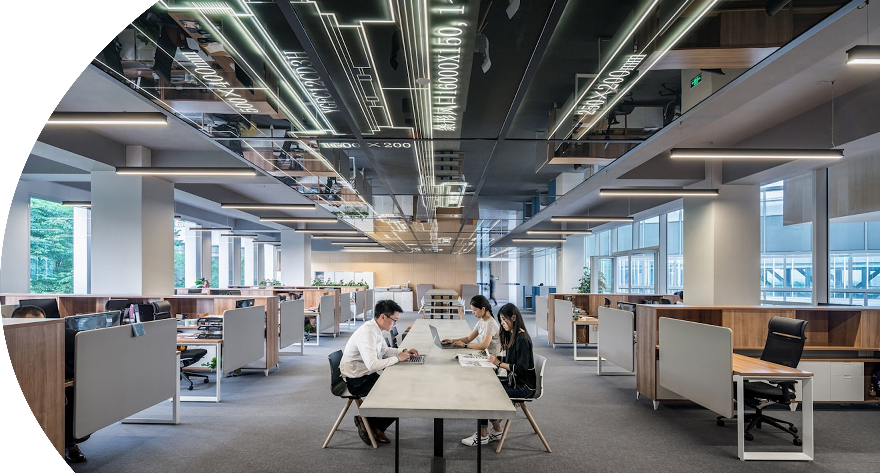 Wish Geeks Consulting LLC